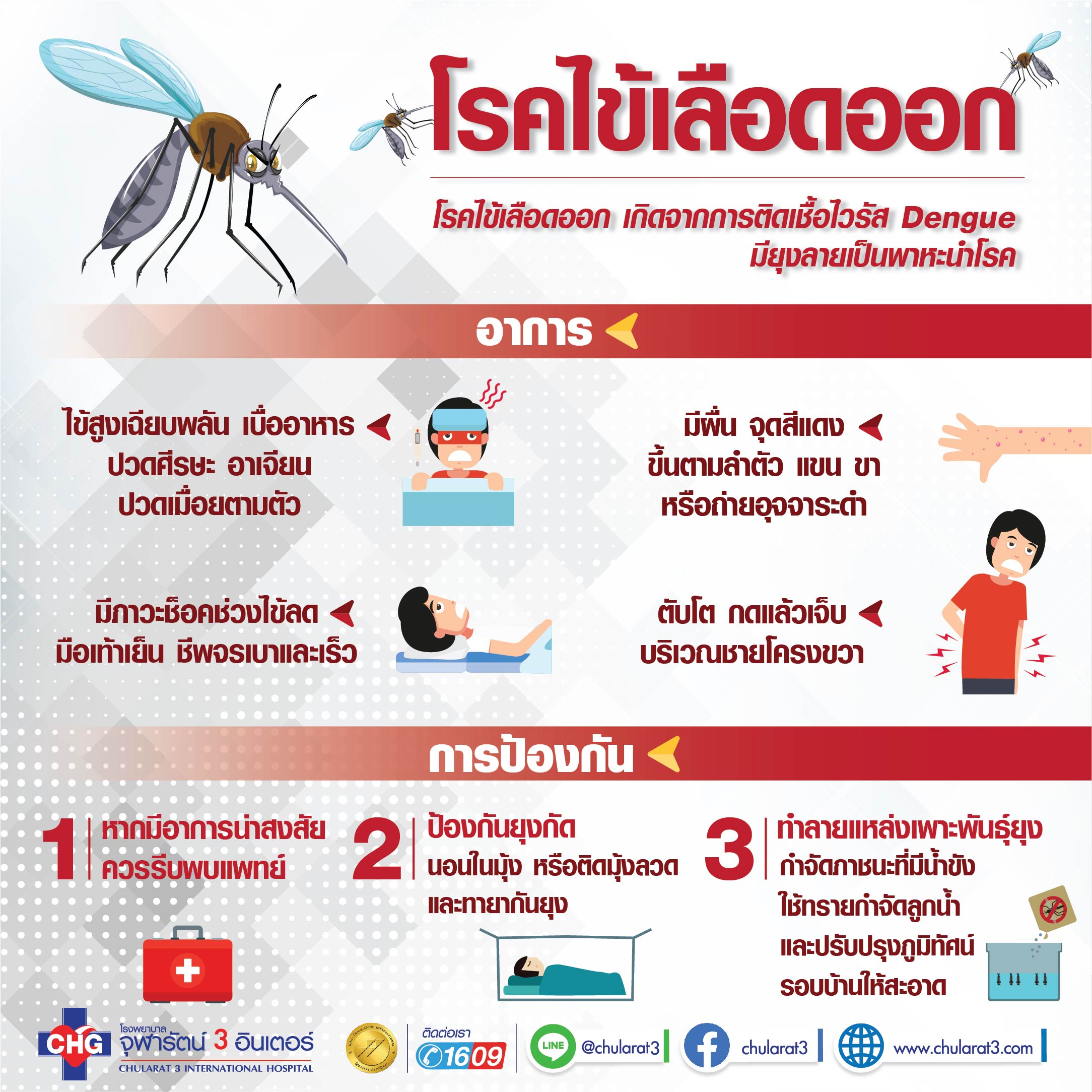 โรคไข้เลือดออกภัยจากยุงตัวร้าย Dengue Fever โรงพยาบาลจุฬารัตน์ 3 อินเตอร์